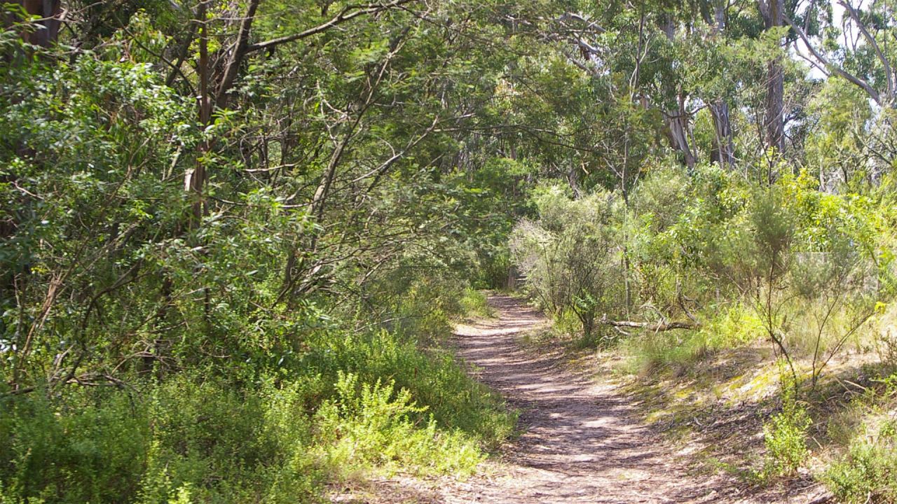 Bush walking tracks around Nyerimilang Park, Nungurner